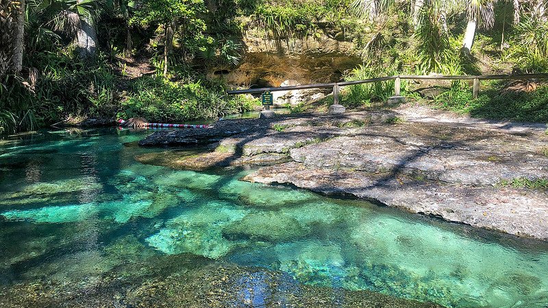 kelly park springs